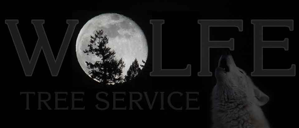 Tree Service - Wolfe Tree Service LLC